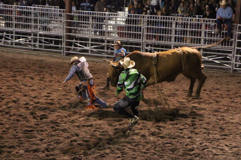 EVENTS – Chalo Nitka